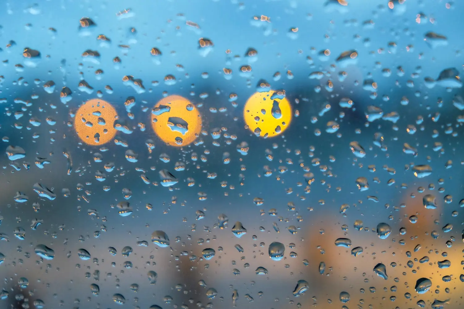 Does Humidity Rise or Fall? How Moisture Moves Through the Air